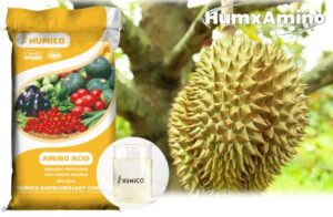Durian Fertilizer Guide - How to Plant Durian Tree and Fertilize ...